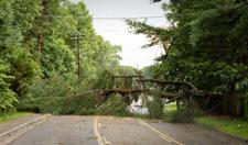 Winston-Salem Storm Damage