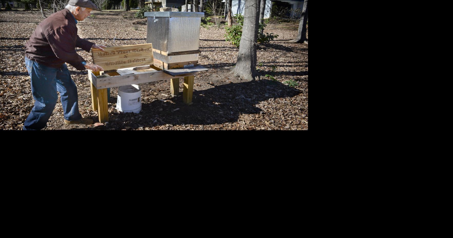 Working with nature: Gardener is using hugelkultur berms to conserve ...
