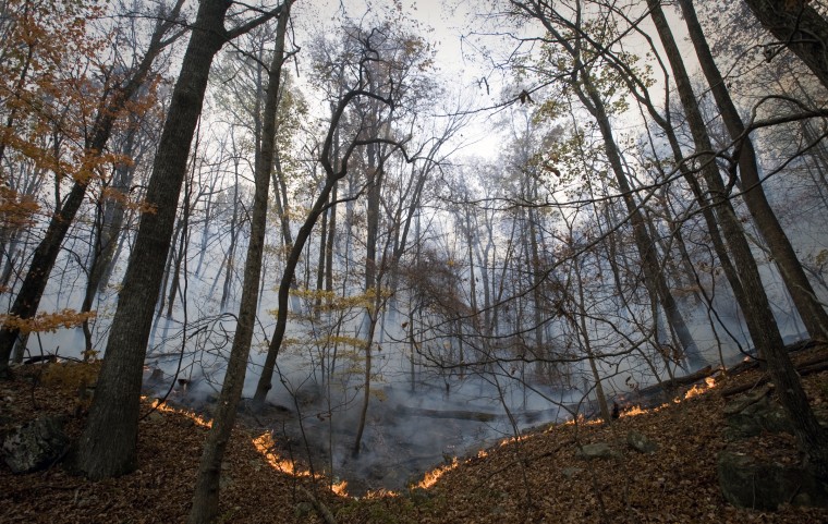 Officials: Pilot Mountain fire is 80 percent contained