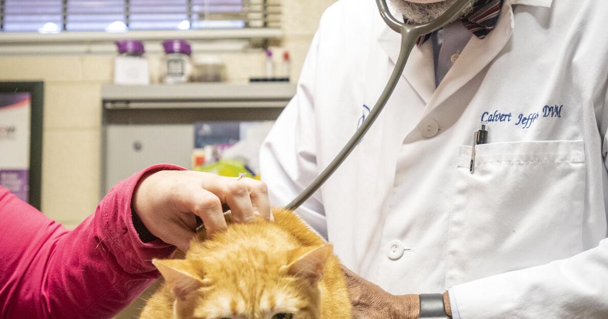 For 40 years, Dr. Calvert Jeffers Jr. has cared for pets in Winston-Salem