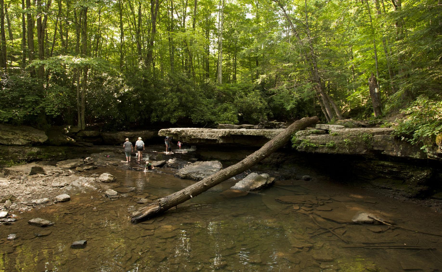 Wild and Wonderful Waterfalls of West Virginia | Entertainment ...