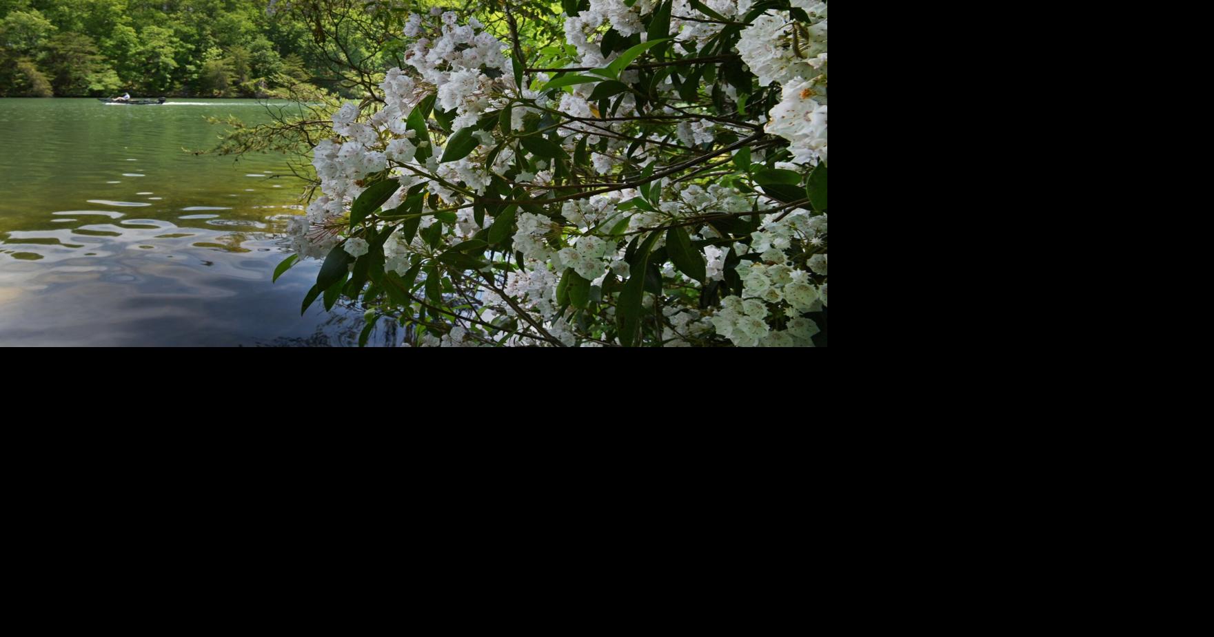 County celebrates groundbreaking for Belews Lake Park