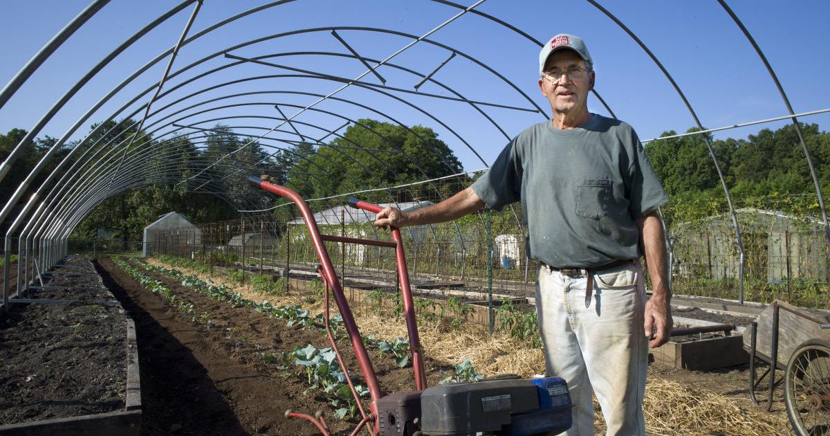 Dixon: Now is the time to plant greens