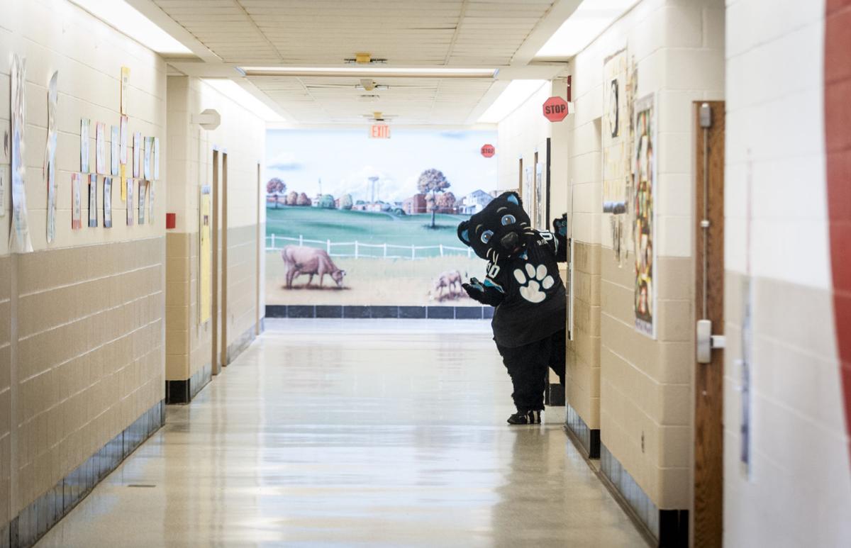 Sir Purr at Walkertown Elementary School