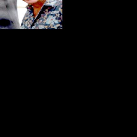 Newlin, Benjamin Todd