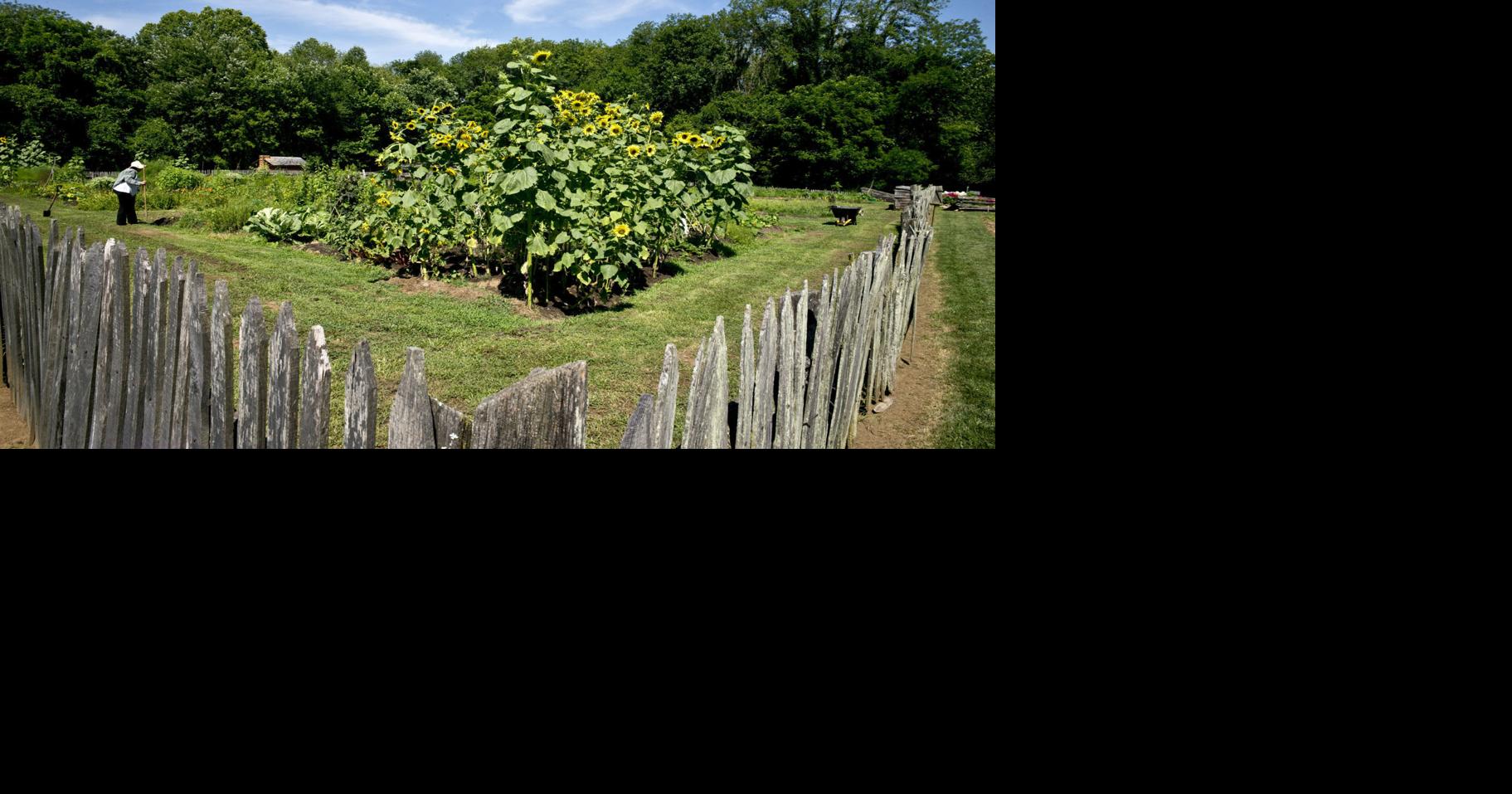 The gardens of Historic Bethabara Park