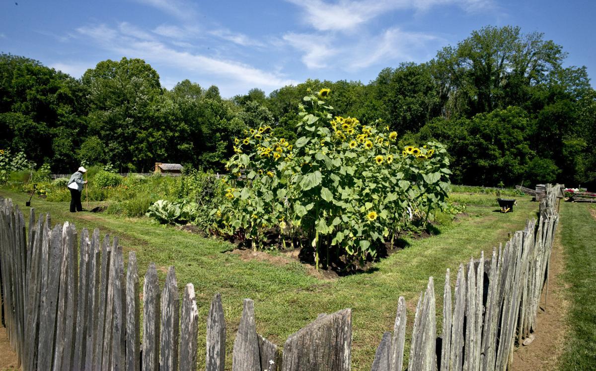 The gardens of Historic Bethabara Park