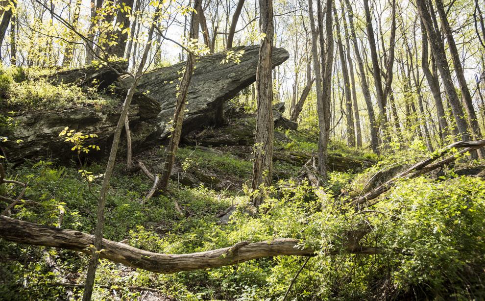 Photos: Devil's Den Nature Preserve