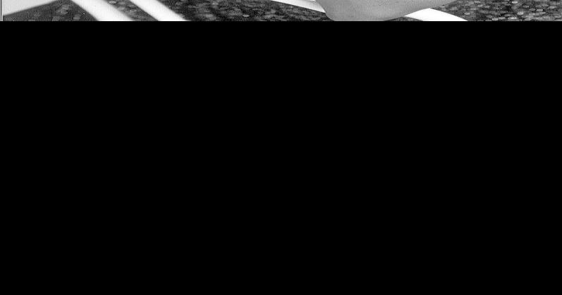 PHOTOS: Melva Houston