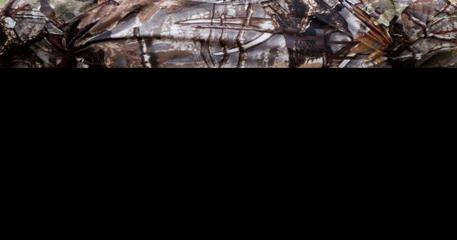 Focus On: Jeremy Bottoms