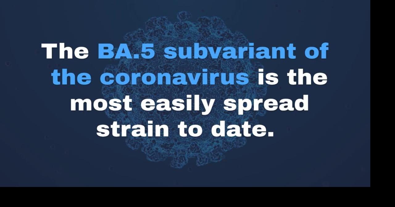 About the BA.5 variant