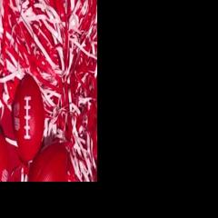 Sights and sounds of WSSU spring football game