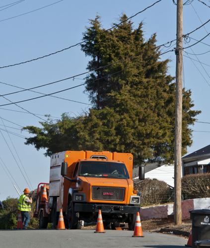 Residents question Duke Energy about tree-trimming plans