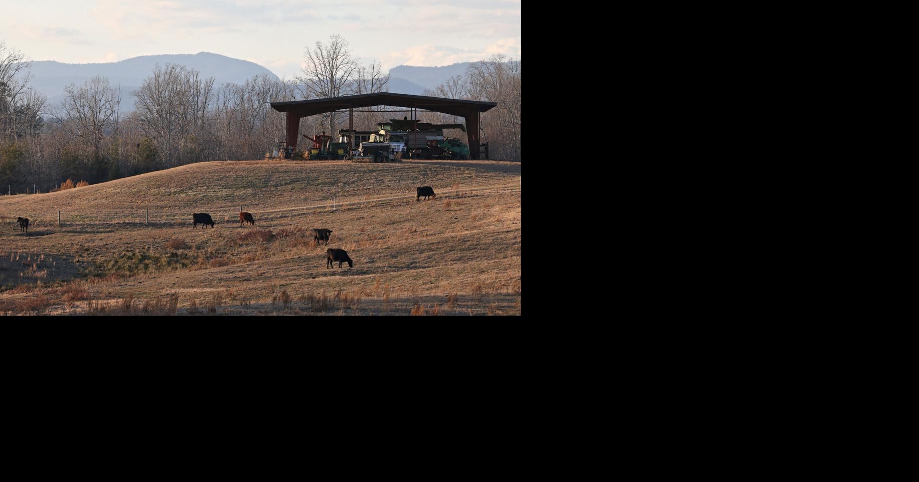 Stokes data center plan stirs economy-environmental debate