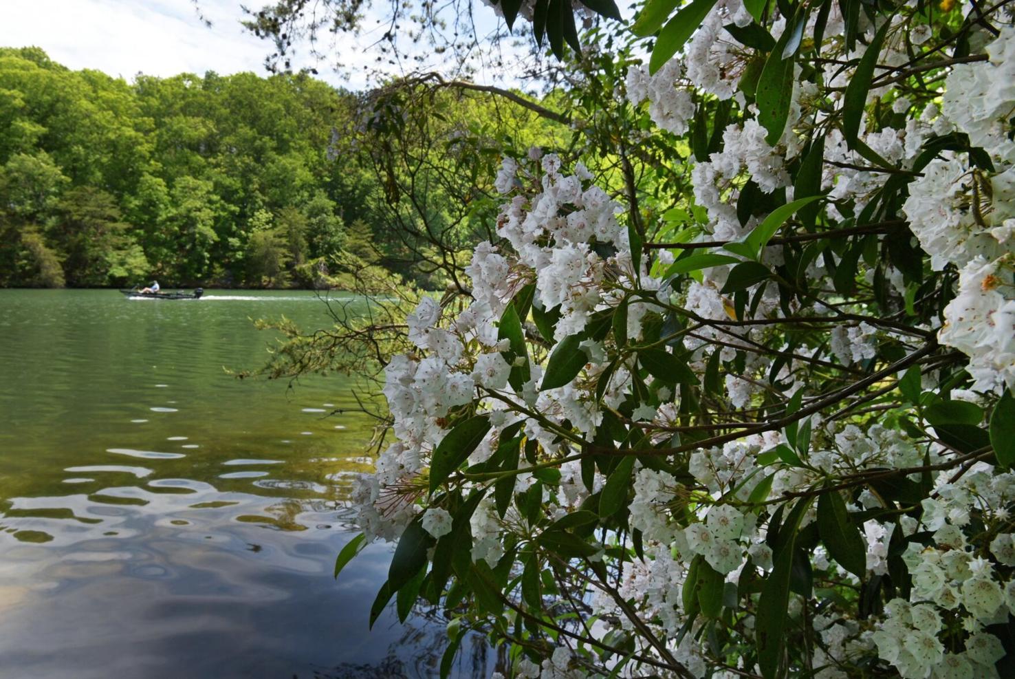 County celebrates groundbreaking for Belews Lake Park