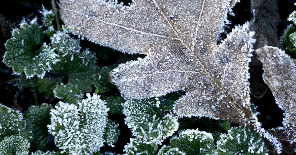 Winter reminder
