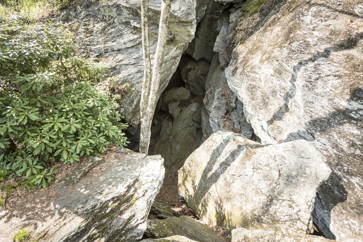 Photos: Devil's Den Nature Preserve