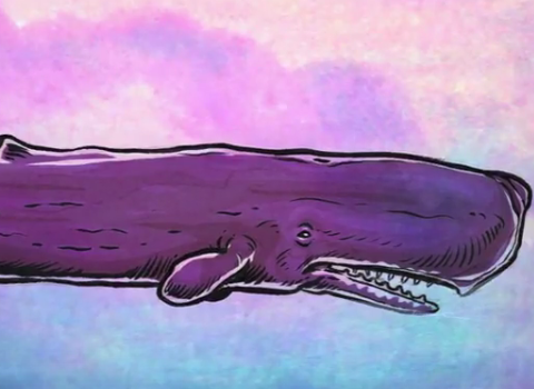 Got a minute? Watch a whale evolve over 50 million years (Video)