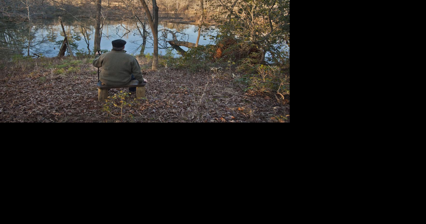 'Forest Bathing' trail invites people to immerse themselves in nature ...