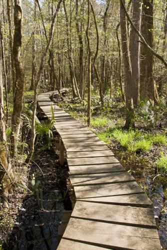 Neusiok Trail expands view of N.C.