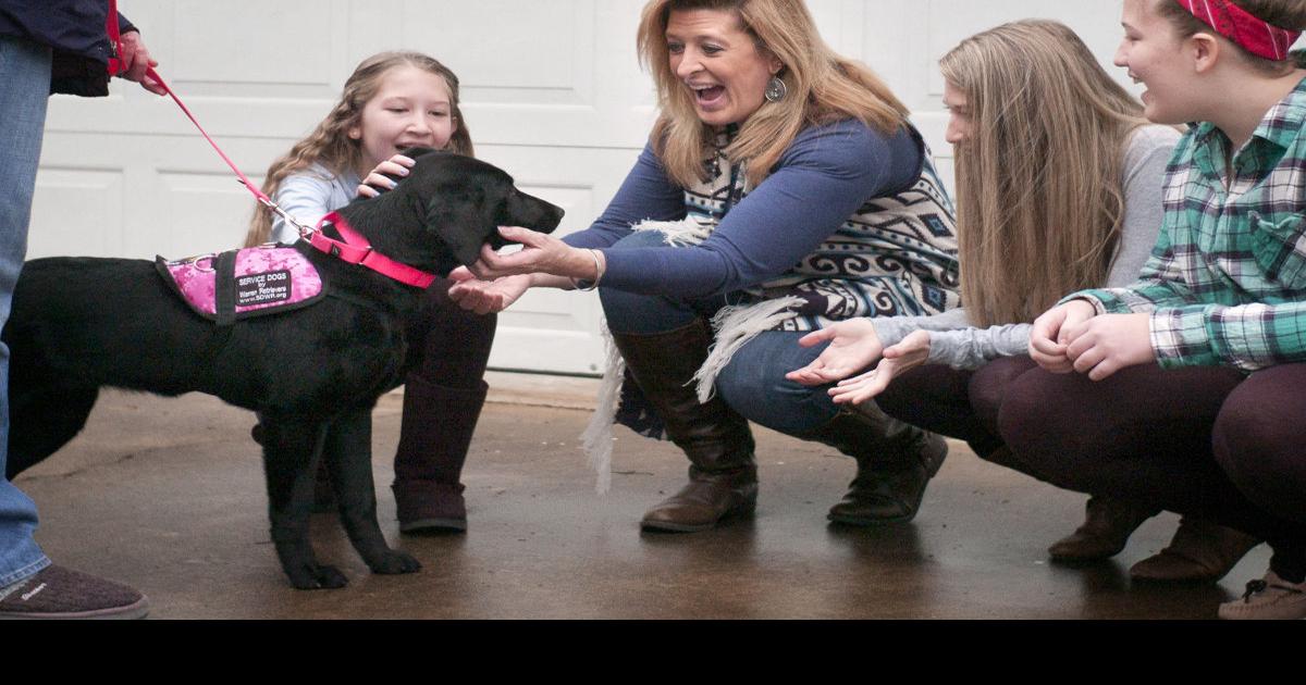 Diabetes Service Dog