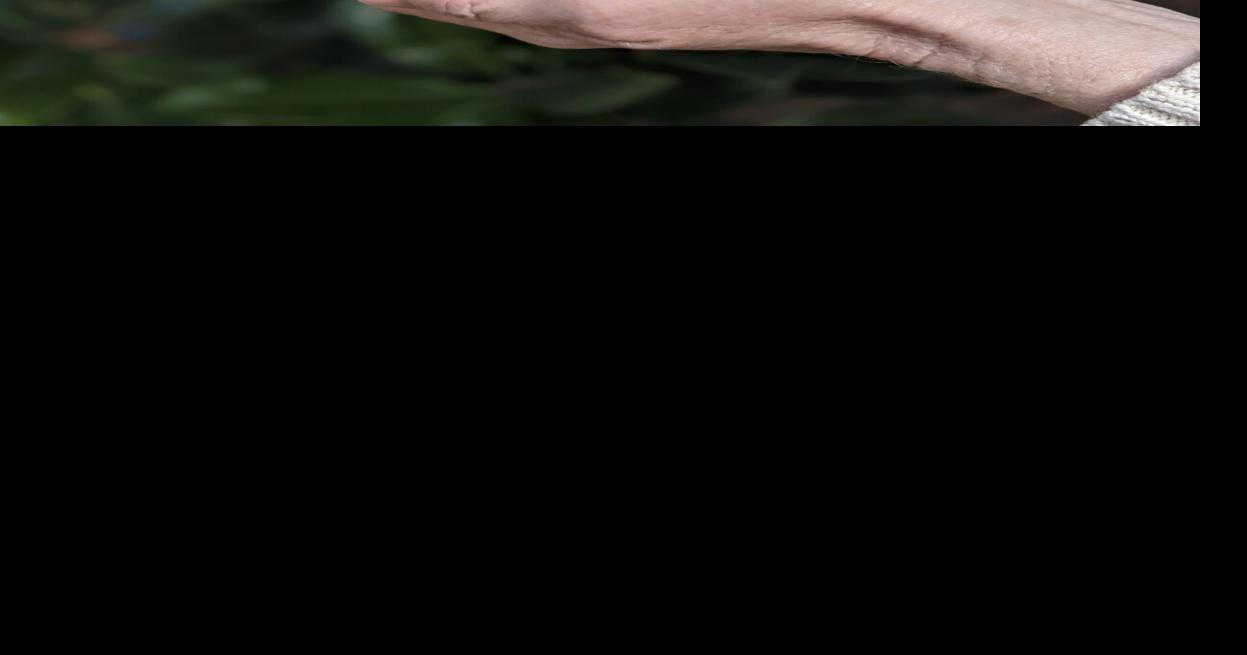 Sawtooth to open ceramics exhibit