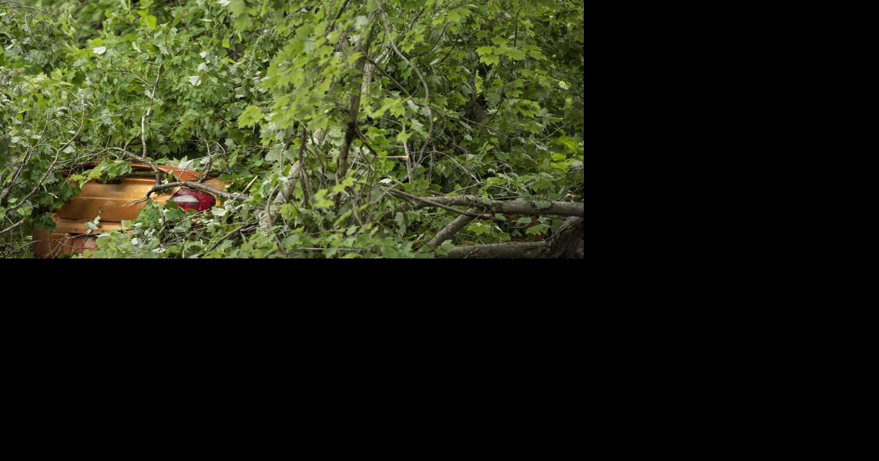 Ask SAM: Post-storm safety tips