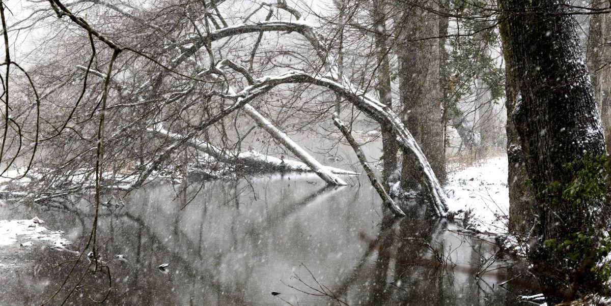 Triad bracing for snow