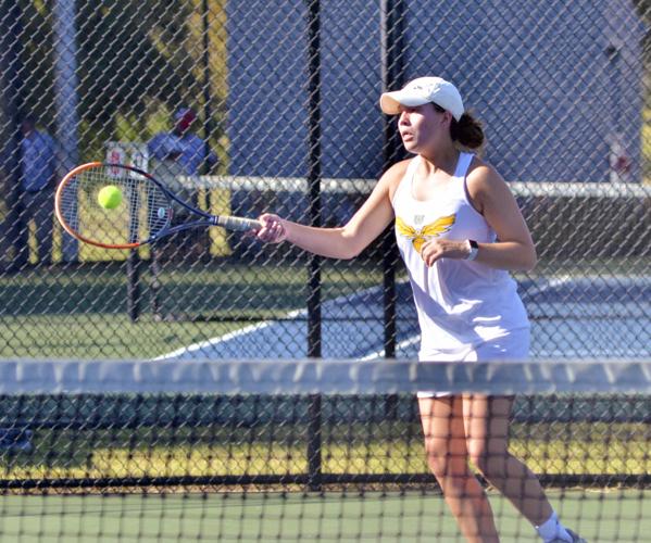 Cardinals, Blackhawks headline MVAC tourney | Sports | journalpatriot.com