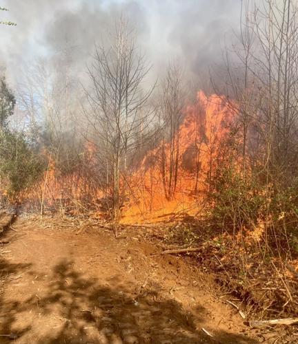 Rain on Friday brings relief for firefighters | | journalpatriot.com