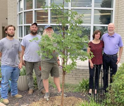 Tree planted in memory of Rose Herring | News | journalpatriot.com