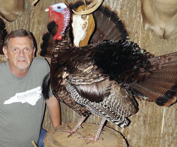 5-spur turkey taken in Wilkes ranks high with NWTF | News ...