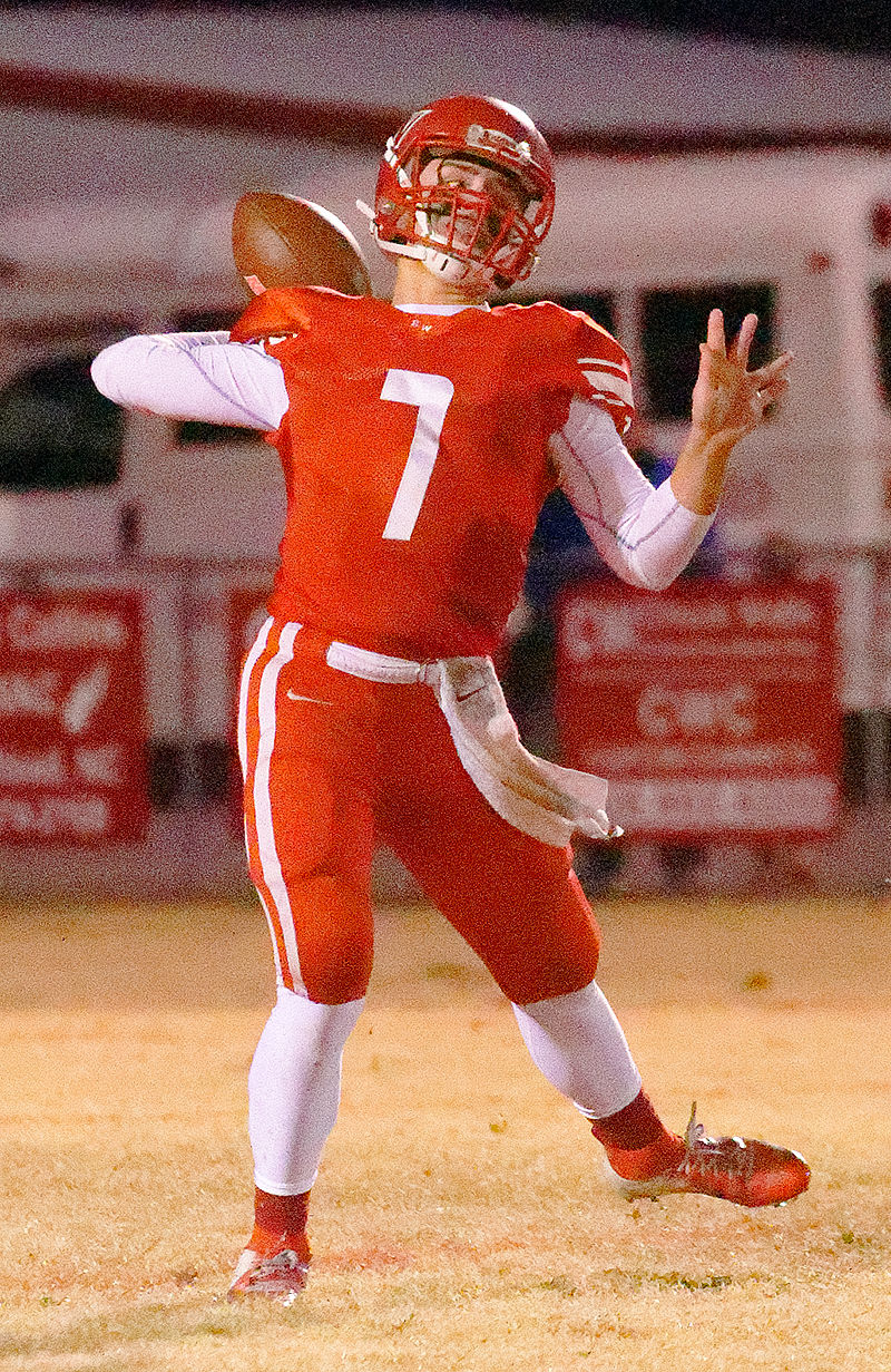 Wolverines beat Cardinals to advance in playoffs | Sports ...