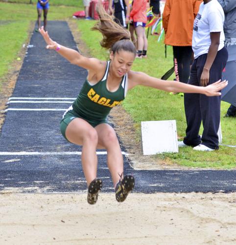 Young, Hogan earn top honors for girls’ track and field | Sports ...