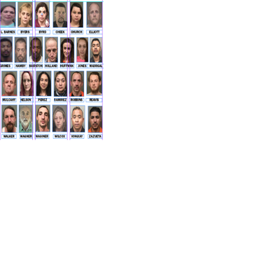 Latest drug arrests reflect prevalence of meth | News | journalpatriot.com