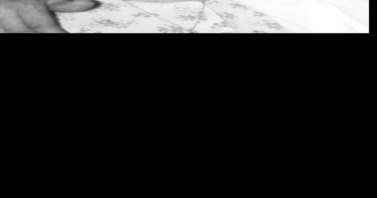 Olin Deford Absher Jr. | Obituaries | journalpatriot.com