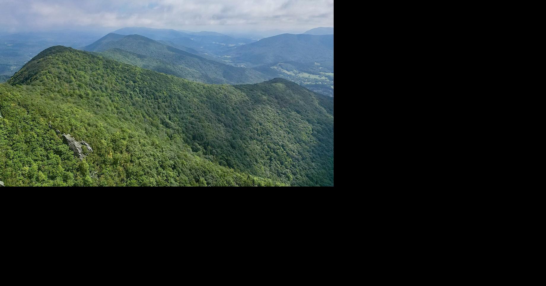 Three Top Mtn. Game Land gains 439 acres | News | journalpatriot.com