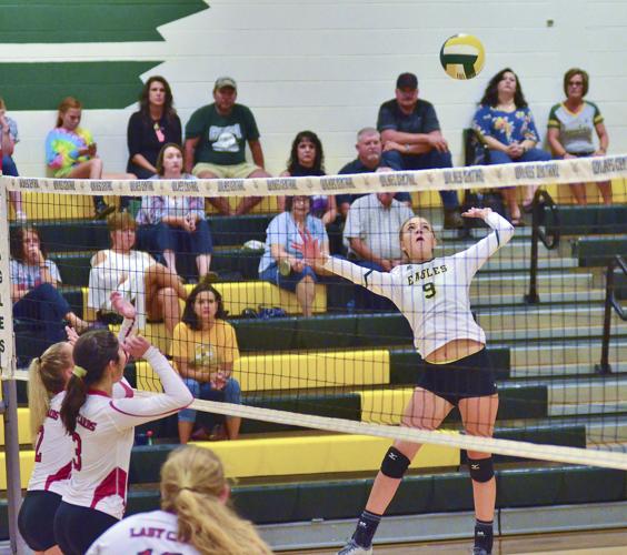 Eagles outlast Cardinals in MVAC play | Sports | journalpatriot.com