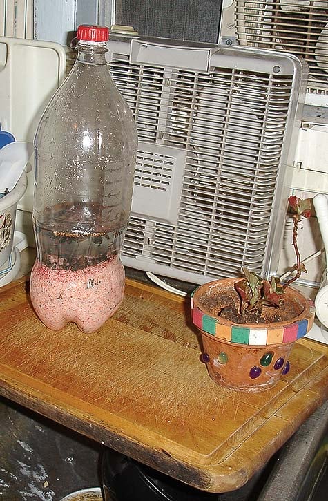 Labs often found near kids | News | journalpatriot.com