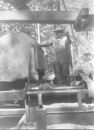 Photos give glimpse of logging in 1950s | News | journalpatriot.com