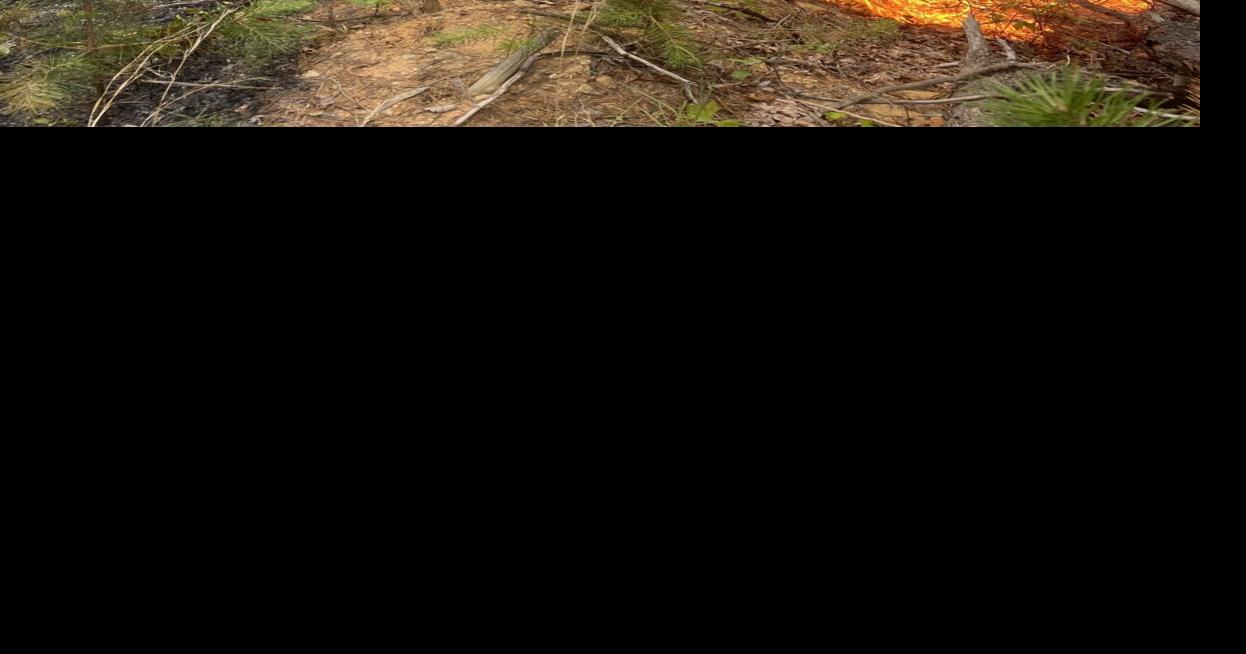 Elusive forest fire extinguished Sunday | News | journalpatriot.com