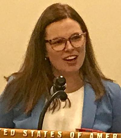 Riggs cites importance of Dems again controlling courts | News ...