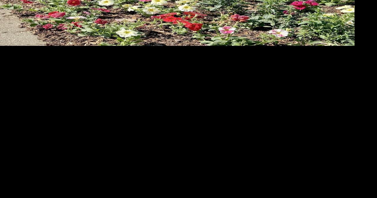 Lineup, weather point to MerleFest success | News | journalpatriot.com