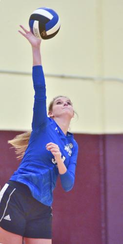 Lions knock off defending state champions | Sports | journalpatriot.com