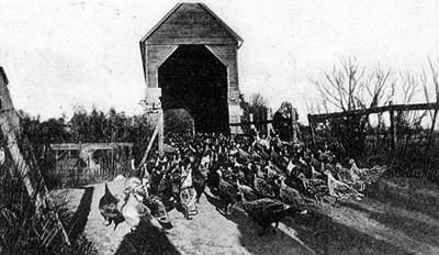 Wilkes had turkey drives in early 1900s | News | journalpatriot.com