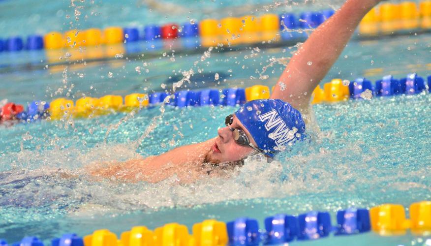 Olson, Barlow headline Wilkes County at regionals | Sports ...