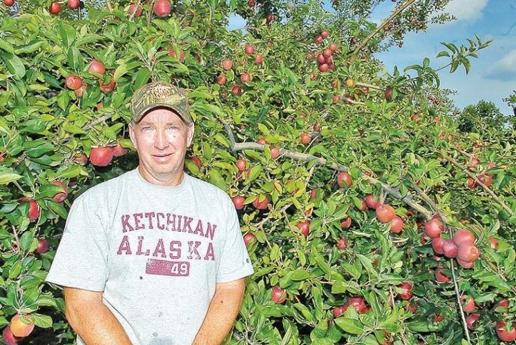 Apple crop among best here | News | journalpatriot.com