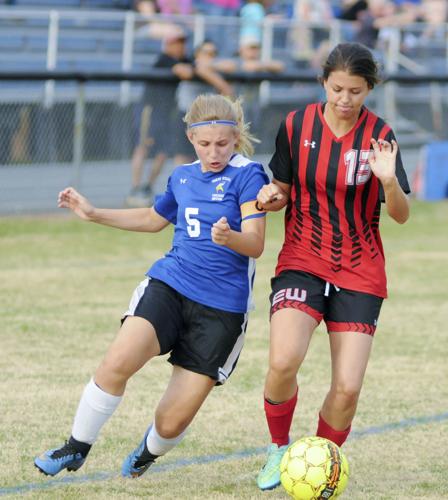 Solid chemistry leads to strong season for Vikings | Sports ...