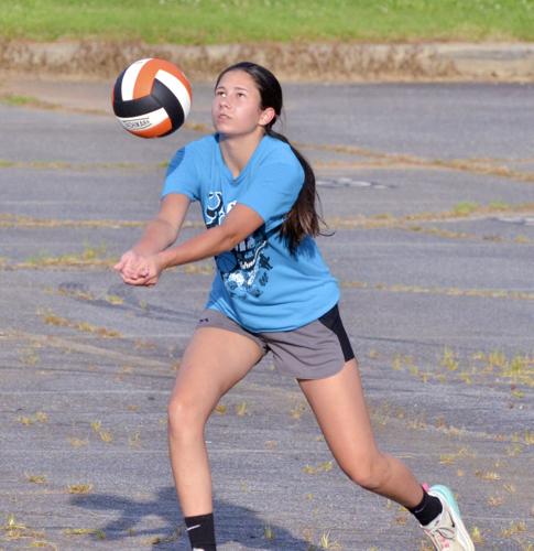 A return to sports | Sports | journalpatriot.com