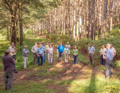 Boomer couple named top county, regional tree farmers | News ...